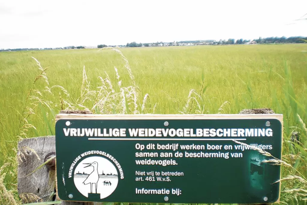 Boerenlandvogels in de knel | Weekblad 't Carillon